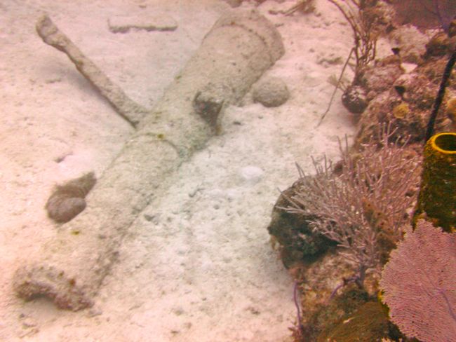 Diving in La Romana-Bayahibe: Ready for an adventure? By Stacey Turner ...