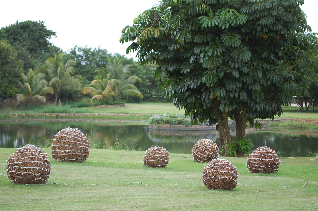 Dominican Traditions #4: Charamicos