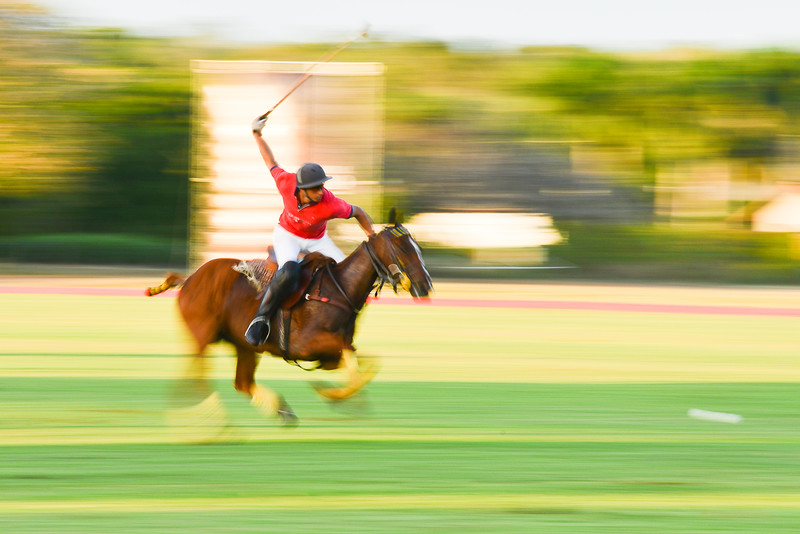 Polo, el deporte preferido de los espectadores de Casa de Campo