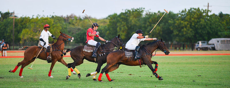 Polo, el deporte preferido de los espectadores de Casa de Campo