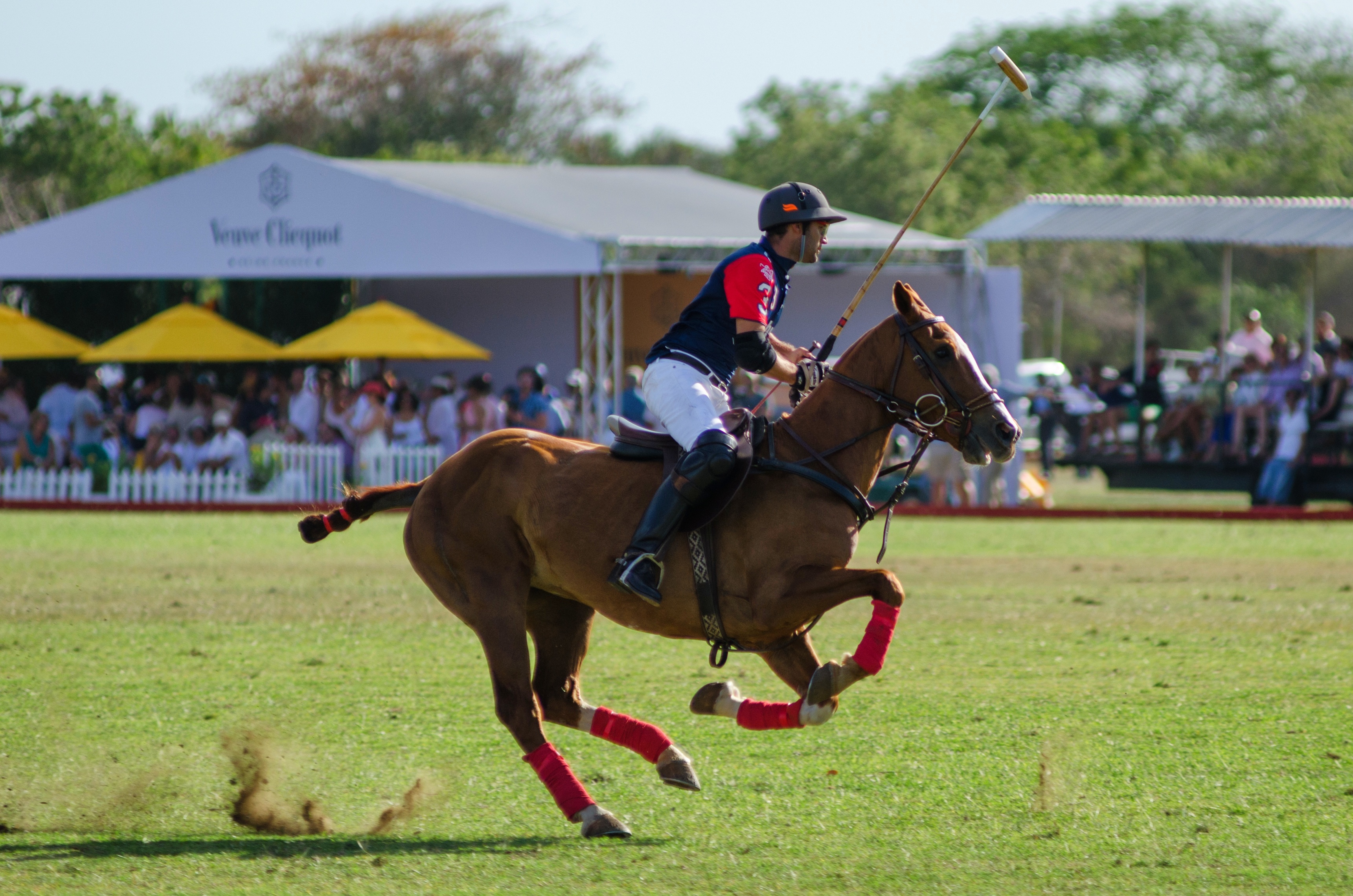 ¡El mejor polo que se ha visto en la República Dominicana!